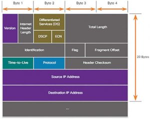 CCNA Cyber Ops (Version 1.1) – Chapter 4: Network Protocols and Services